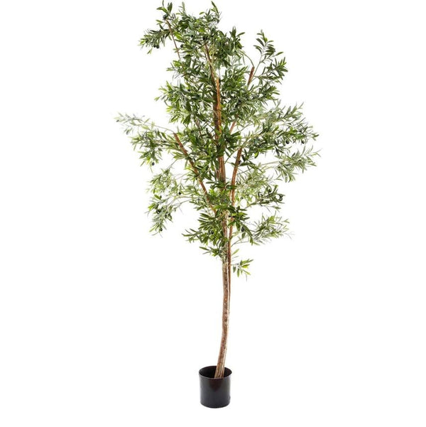 Olive Tree - Artificial Plant (240cm) - OFO Outdoor Furniture